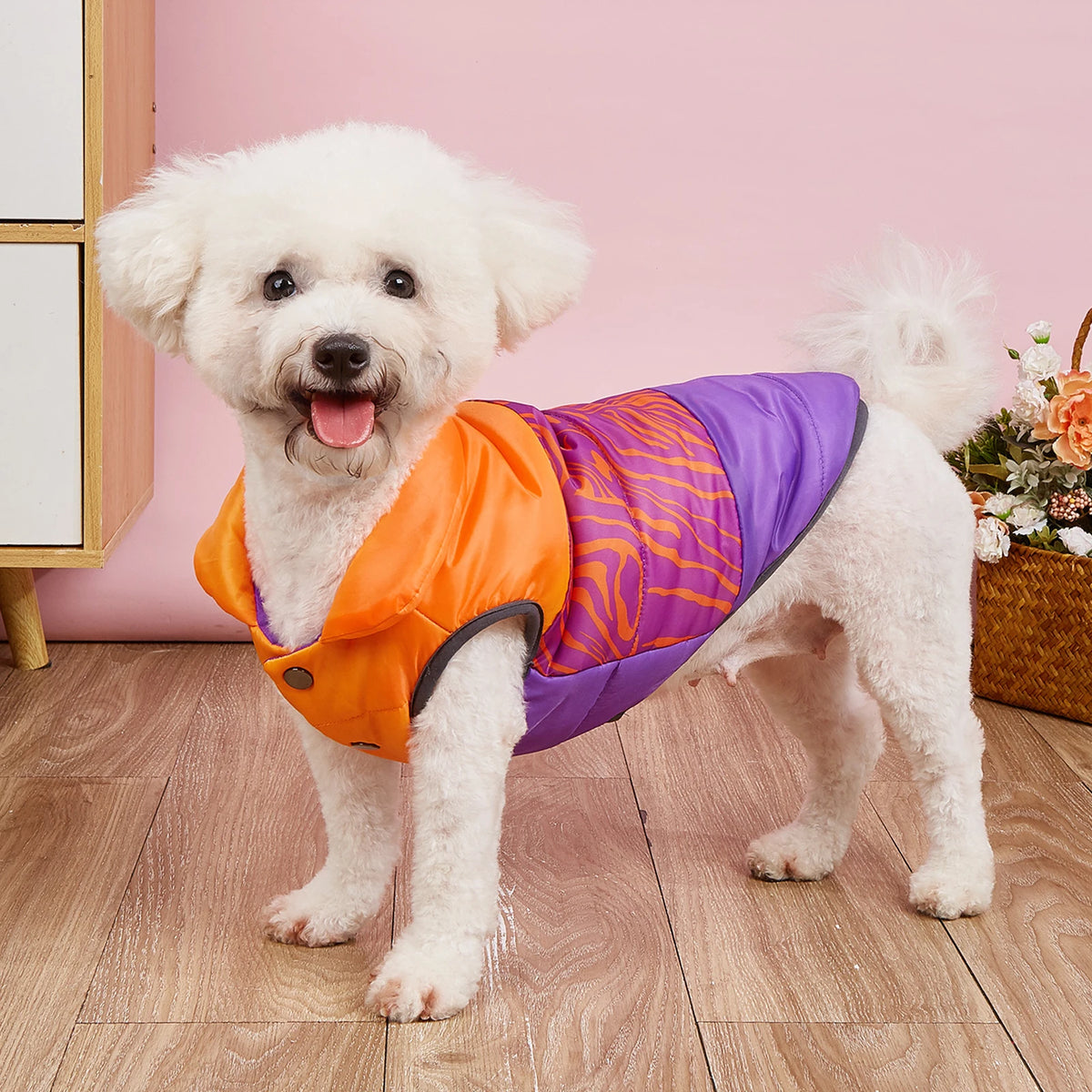 Colete Pet Thice – Casa Pet Loja